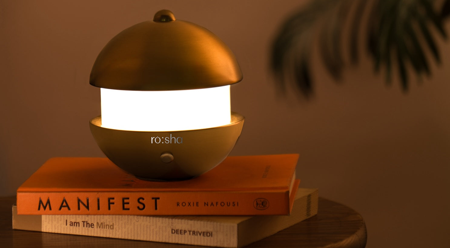 Customizing Your Light: Personalization Options with Rosha Lamps ...